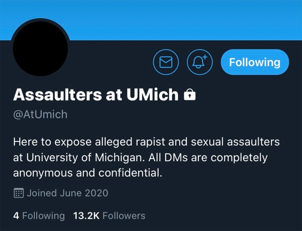 Anonymous Twitter accounts cause stir among Detroit assault, harassment ...