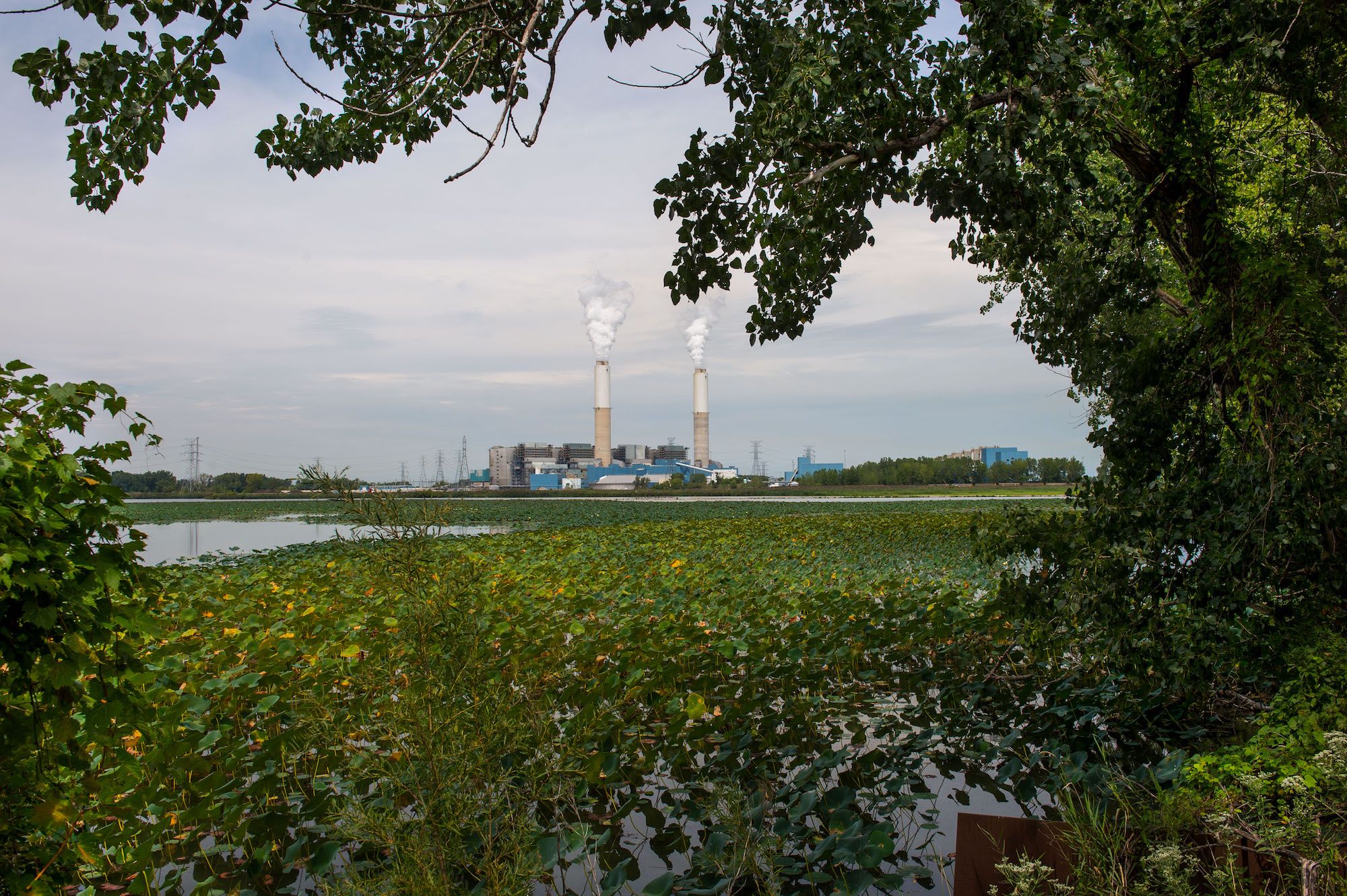 DTE plan aims to retire coal plants sooner, boost renewable energy ...