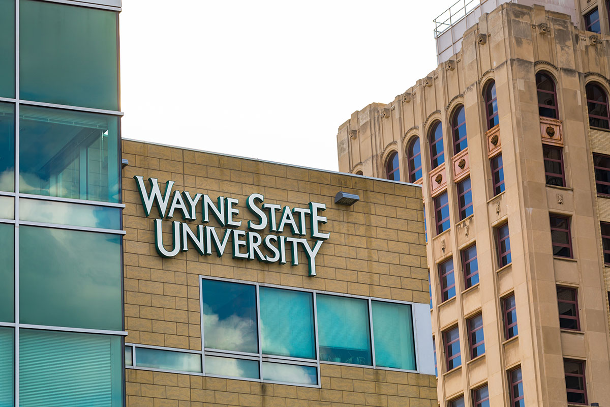 American Black Journal – Wayne State Black Studies grant, Michigan Lt ...