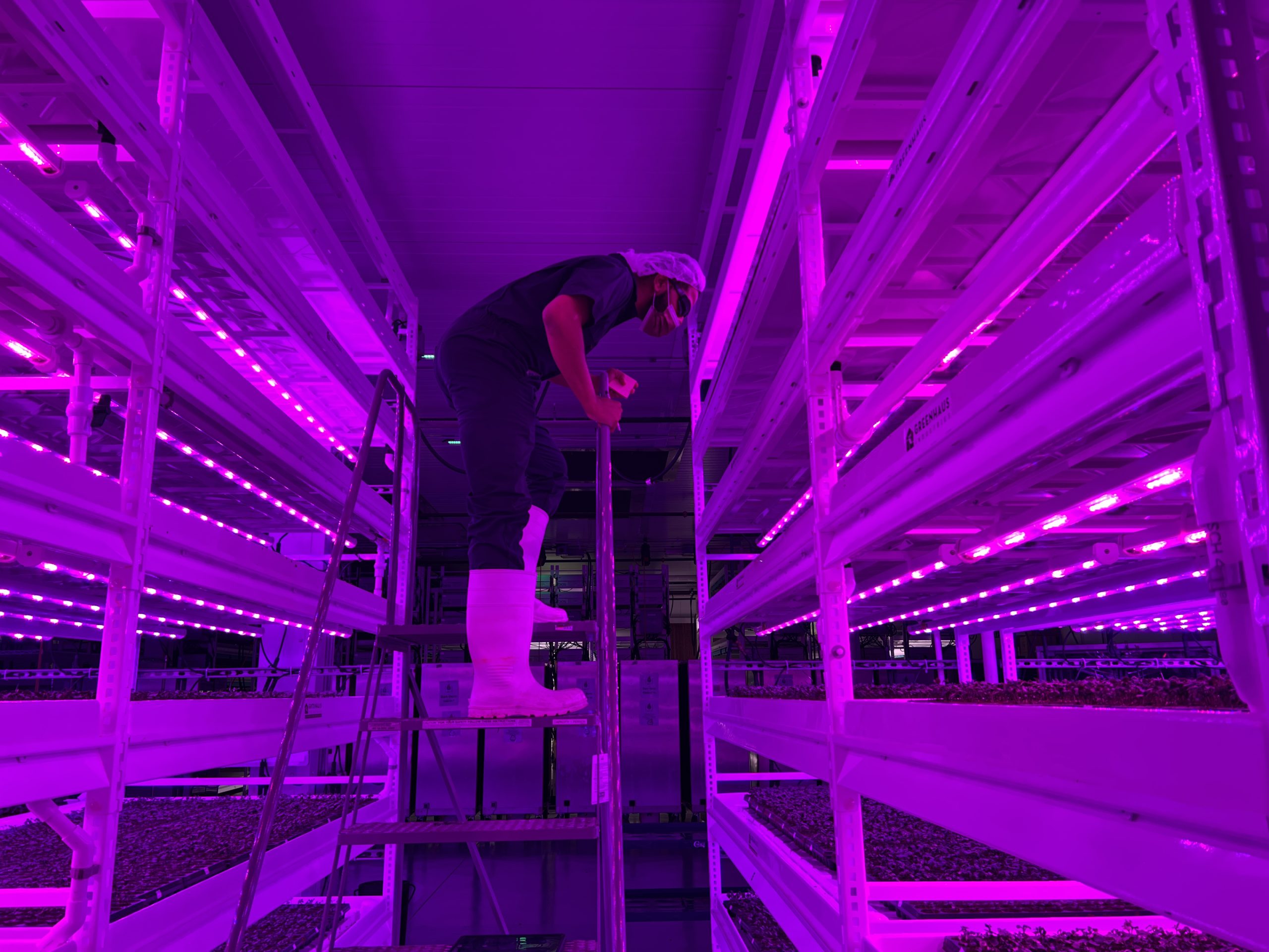 Can vertical farming succeed in Detroit? - BridgeDetroit