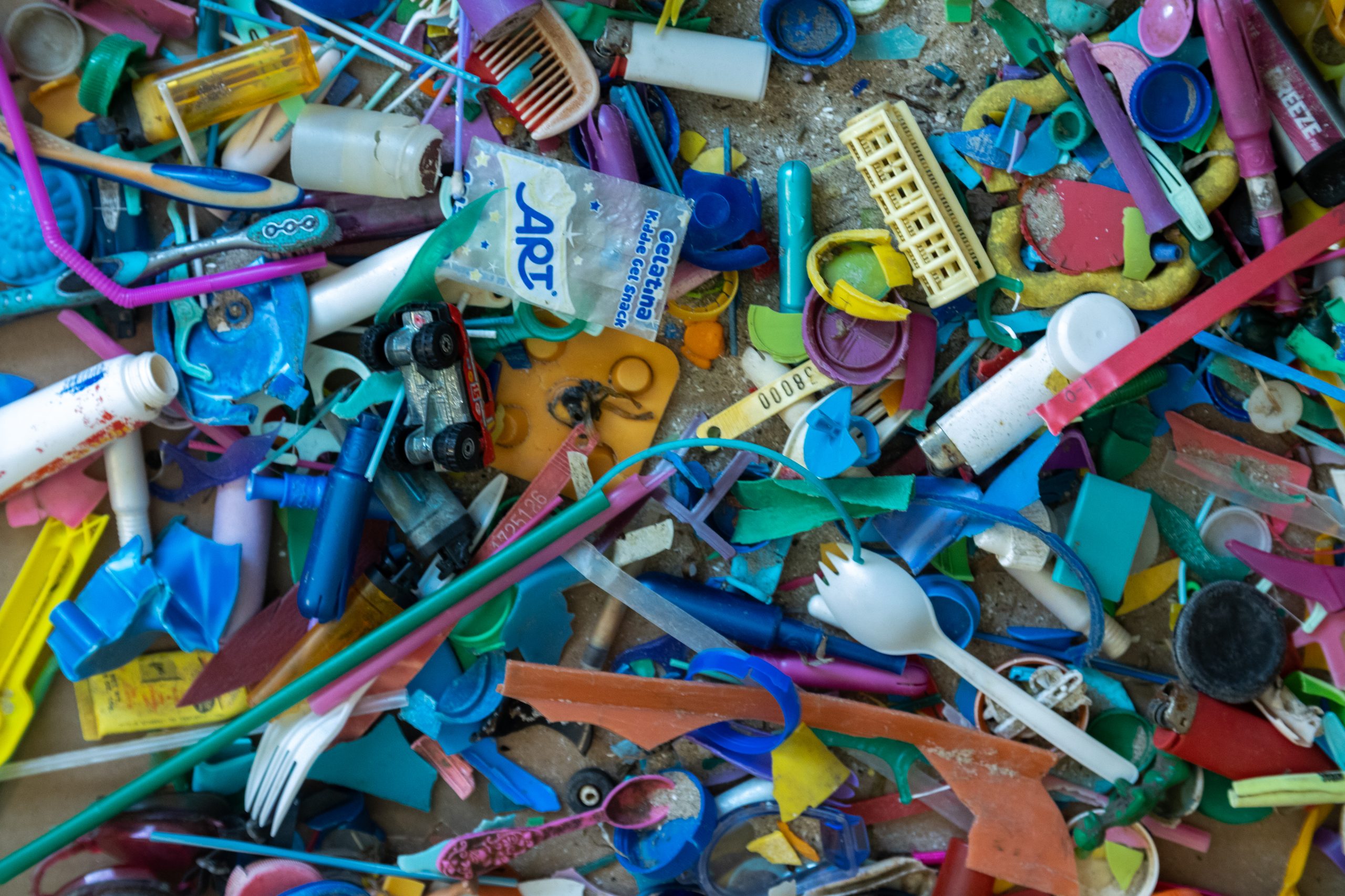 Waste Reimagined: Artists turn trash into art